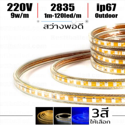 ไฟ Led เส้น สายยาง 2835 220V 10 ม.ม. 120Leds/m | | BestThaiLED.com